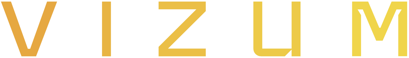 Inicio - Vizum